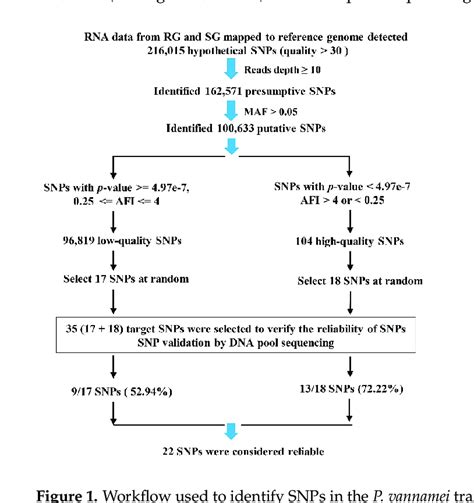 Workflow Used To Identify Snps In The P Vannamei Transcriptome Download Scientific Diagram