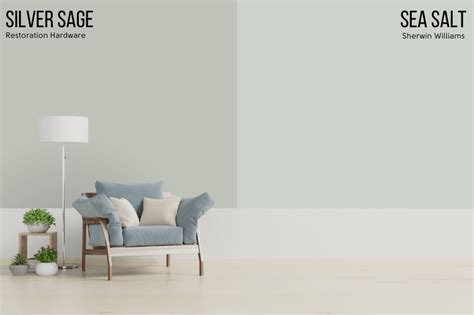 Silver Sage Paint Color Match Sherwin Williams Infoupdate Org