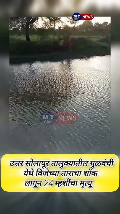 उत्तर सोलापूर तालुक्यातील गुळवंची। येथे विजेच्या तारांचा शॉक लागून 24