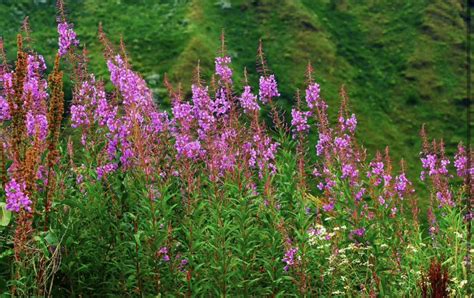 ხევსურული პოეზია Added A New Photo — At ხევსურული პოეზია