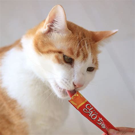 【楽天市場】【 猫 おやつ 】ciao チャオ 液状猫おやつ ちゅーる ちゅ～る 毛玉配慮 メール便ok【 猫のおやつ 猫用おやつ キャット