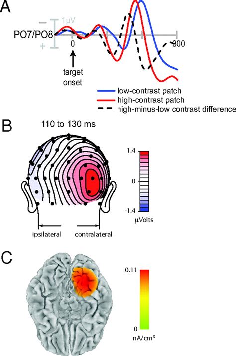 Cross Modal Cueing Of Attention Alters Appearance And Early Cortical Processing Of Visual