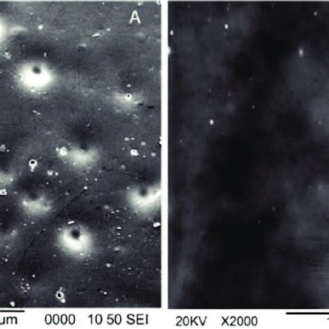 Silver Nanoparticles Occluded Inside Pdms Ilm Sem Micrograph A ×50 Download Scientific