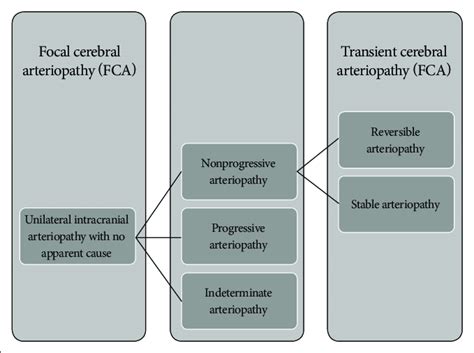 Classification Scheme Download Scientific Diagram