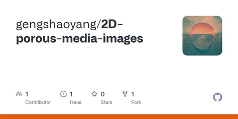 Github Gengshaoyang D Porous Media Images