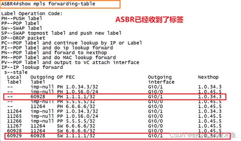 锐捷mpls跨域方案c1实验配置send Label Csdn博客