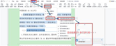 Wps Word中插入“批注”不显示micorosoft 2010版本显示不了批注 Csdn博客