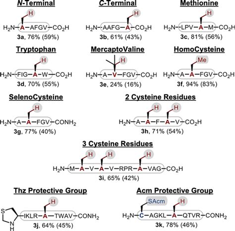 Peptide And Protein Desulfurization With Diboron Reagents Pmc