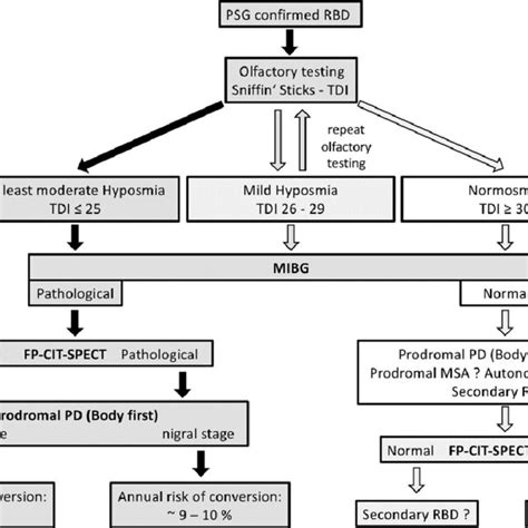 Algorithm For Selecting Patients With Prodromal Parkinsons Disease In Download Scientific