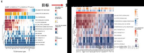 绘图练习 使用ggplot2绘制热图 知乎