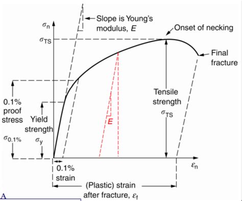 Plasticity Part A Redraft Flashcards Quizlet