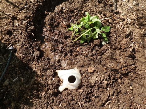 The Gardener S Spot How To Turn Poor Soil Into Great Growing Soil