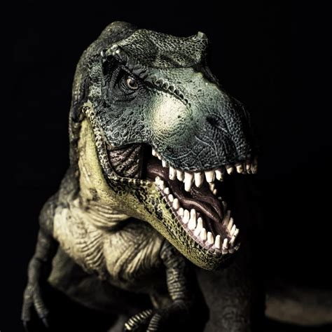 Paleontologists Stunning Conclusion 25 Billion T Rexes Roamed North America Over The
