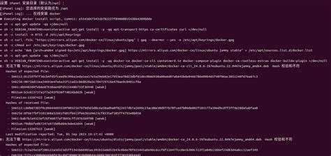 Ubuntu 安装问题 1panel 社区论坛 Fit2cloud 飞致云