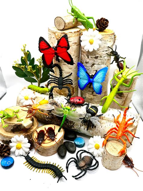 Insect Creepy Crawlers Themed Treasure Box Bug Busy Box Imagination Toys Sensory Play