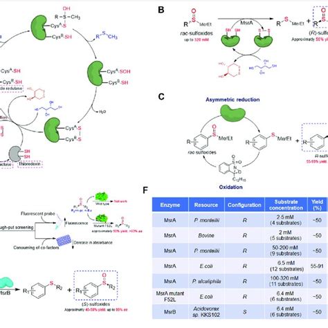 Overview Of Dmso Reductase And Application In Chiral Sulfoxides Download Scientific Diagram