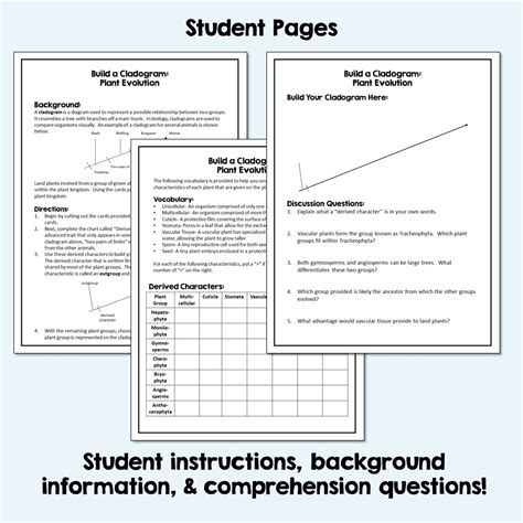 Free Plant Cladogram Activity Suburban Science