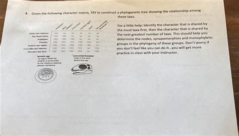 4 given the following character matrix try to