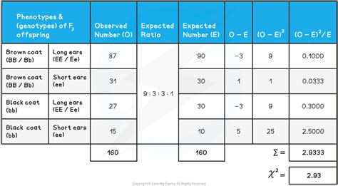 Chi Square Test Ib Hl Biology Revision Notes