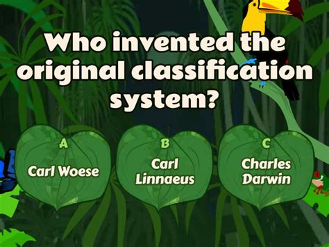Classification Quiz