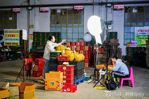 一年13 6亿农产品订单背后年轻人重回山野田间 作者 李静林 现代化城市化工业化让乡村的人才流向城市如同大水冲刷过后的土地失去了