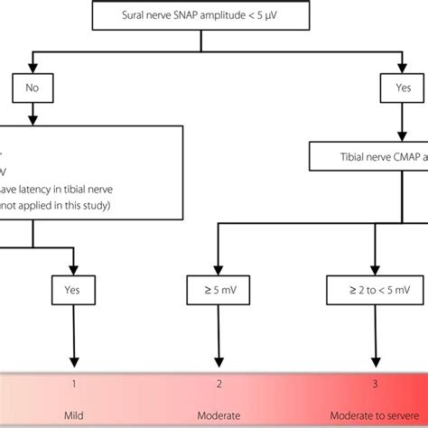 The Baba Classification A Diagnostic And Staging Algorithm For