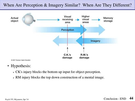 Ppt Visual Imagery Powerpoint Presentation Free Download Id2450734