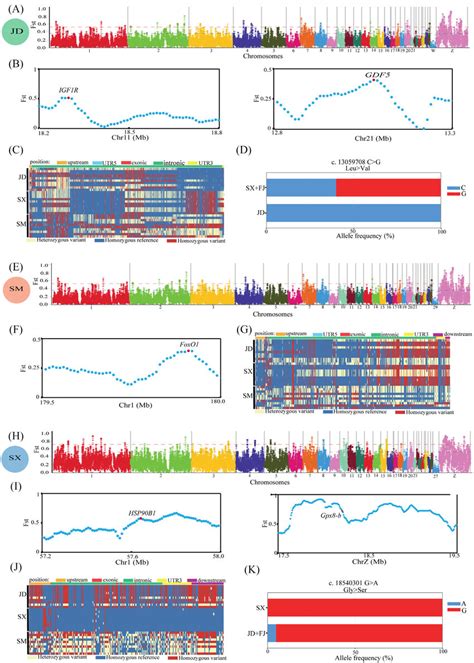 Genomic Regions With Unique Selection Signals A E H Selection Download Scientific Diagram