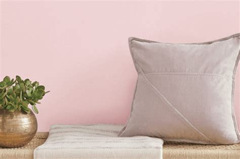 Charming Pink Sw 6309 By Sherwin Williams Housekeepingbay