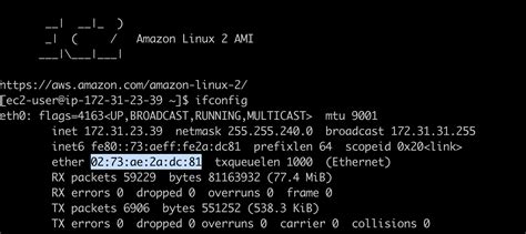 Setup Flexlm License Server 🪪 Sean Smith 🚀