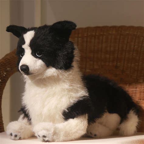 Brown Border Collie Douglas Etsy