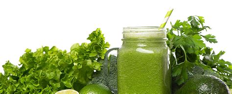 O Que é Detoxificação E Quais Os Locais Onde Ocorre