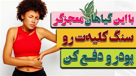 سنگ کلیه‌ت رو با قویترین گیاه‌های دارویی پودر و دفع کنexcretion Of