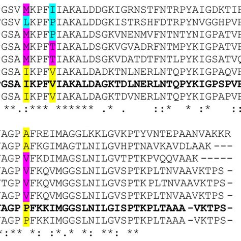 Multiple Sequence Alignment Using ClustalOmega Of Portions Of The PBP2