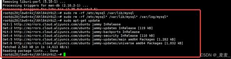 《剑指数据库：mysql安装布阵全解》 剑指mysql csdn博客