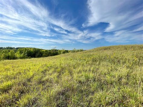Iowa Prairiesavanna Oc 2048x1536 Rearthporn