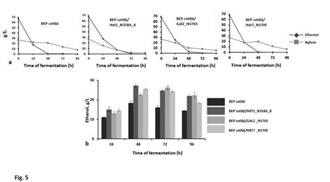 Glucose And Xylose Consumptiona And Ethanol Production B By The