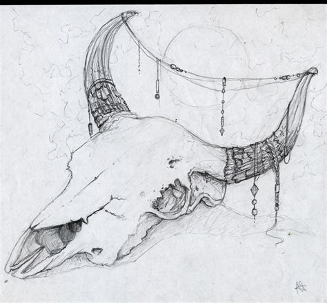 Buffalo Skull Sketch At Explore Collection Of