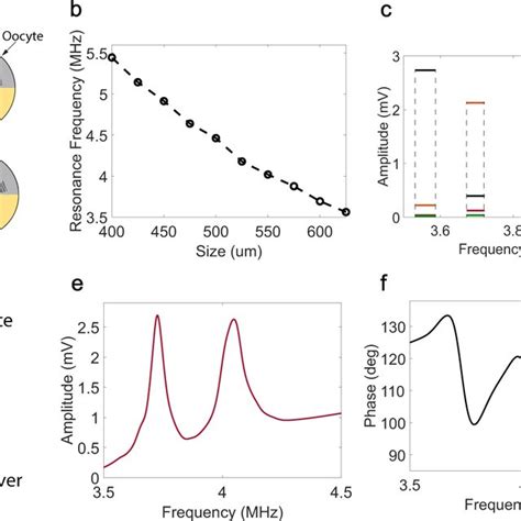 Multiplexing Using Cell Rovers A Schematic Diagram Showing Different