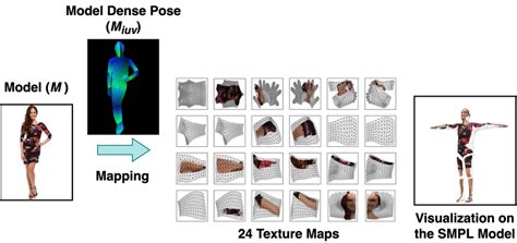 Visualizing The 24 Texture Maps On An Smpl Model Download Scientific