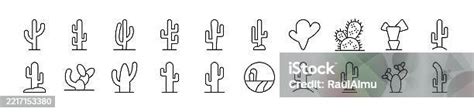 선인장과 즙이 많은 간단한 격리 된 라인 아이콘 모음 편집 가능한 스트로크 웹 사이트 책 카드 앱에 적합 0명에 대한 스톡 벡터 아트 및 기타 이미지 Istock