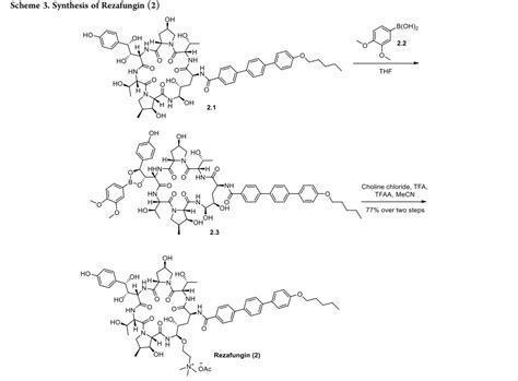 Rezafungin Ion New Drug Approvals