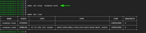 How To Install Create And Manage LXC In Ubuntu Debian