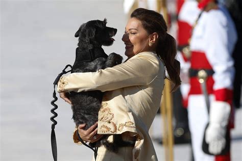 CRÔNICA Posse de Lula Um cachorro sobe a rampa do Planalto