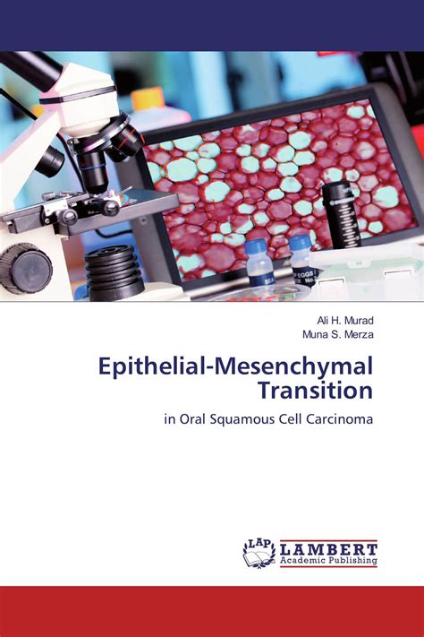 Epithelial Mesenchymal Transition 978 3 659 85074 5 9783659850745