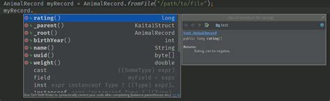 kaitai struct user guide