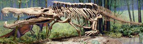 Redondasaurus Fossil Wiki The Paleontology Wiki