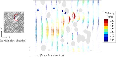 Cross Sectional Velocity Vector Field And Collection Behavior Of A