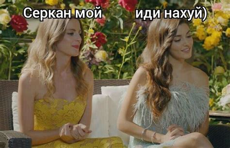 ПВМД мем в 2024 г Мемы Селин Романтические фильмы