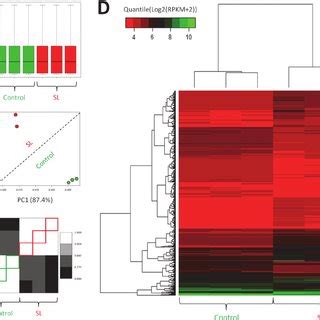 RNA Seq Analysis Results A Tukey Box Plot Comparing The Sample Level